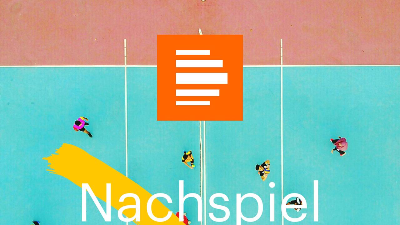 Wahlaufruf Deutsche Fußball-Liga: Gespräch mit Geschäftsführer Steffen ...