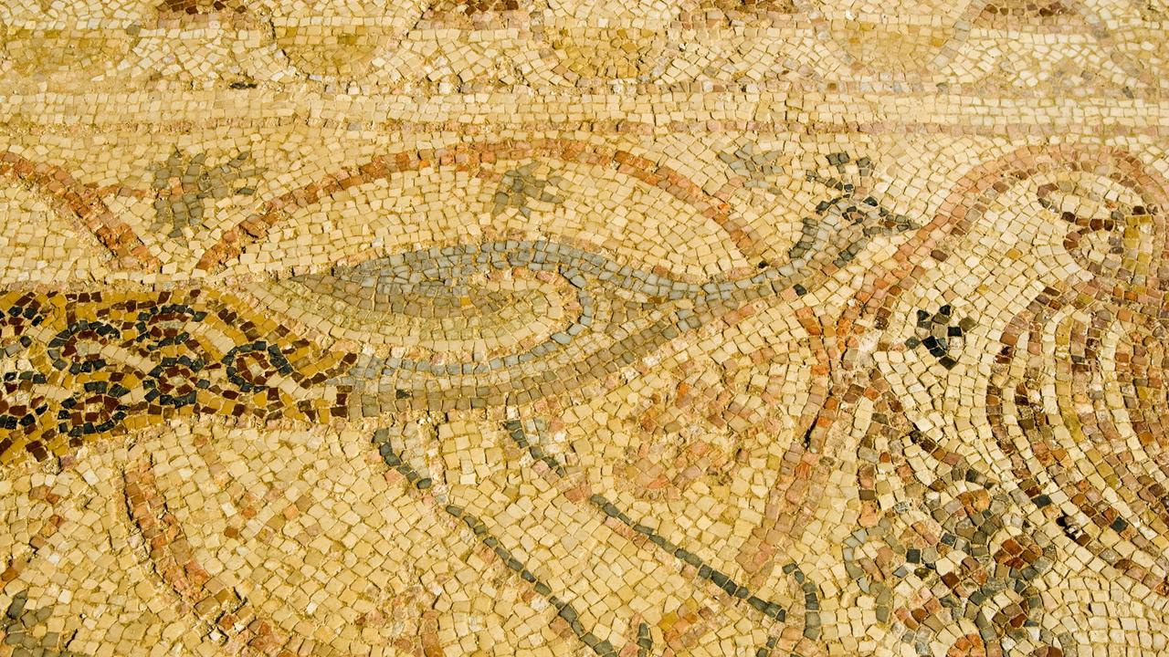 Spektakuläres antikes Mosaik ab sofort in Israel zu sehen