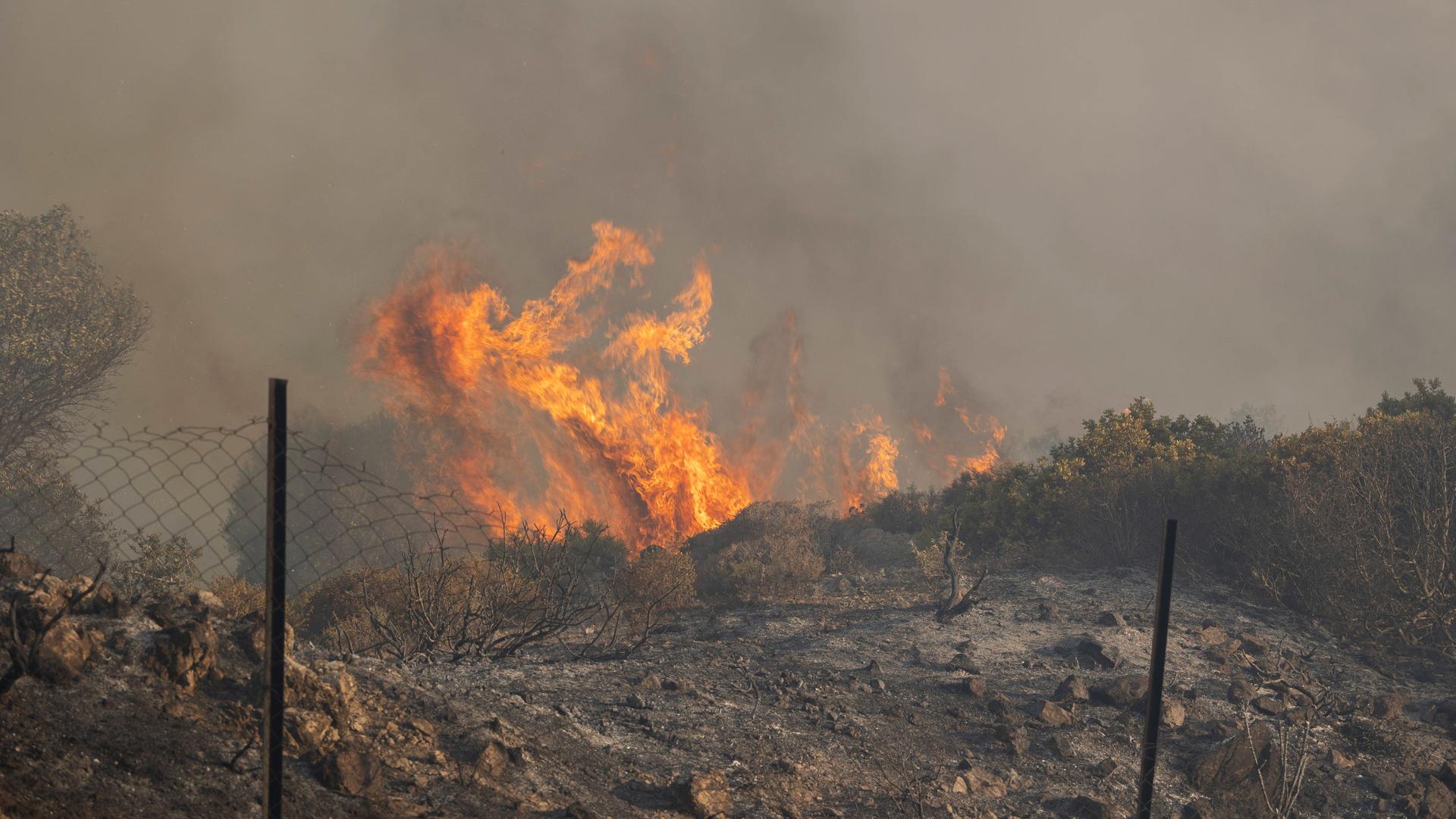 Waldbrände - Klimaforscher Latif: "Brände sind Symptom für Klimawandel"