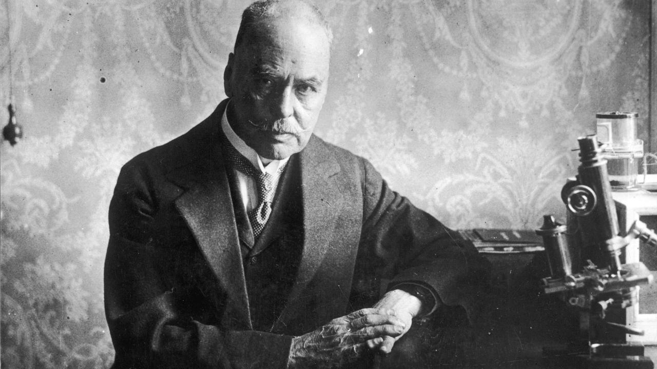 Vor 125 Jahren - So entlarvte ein englischer Arzt Mücken als Malaria ...