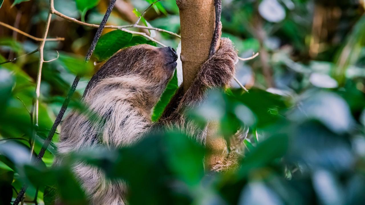 Sonntagsrätsel Ausgabe Nr. 2922