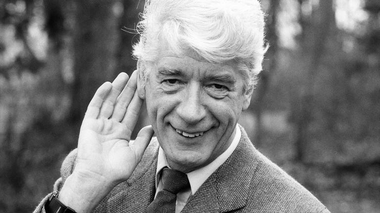 Rudi Carrell: Showmaster als Berufung