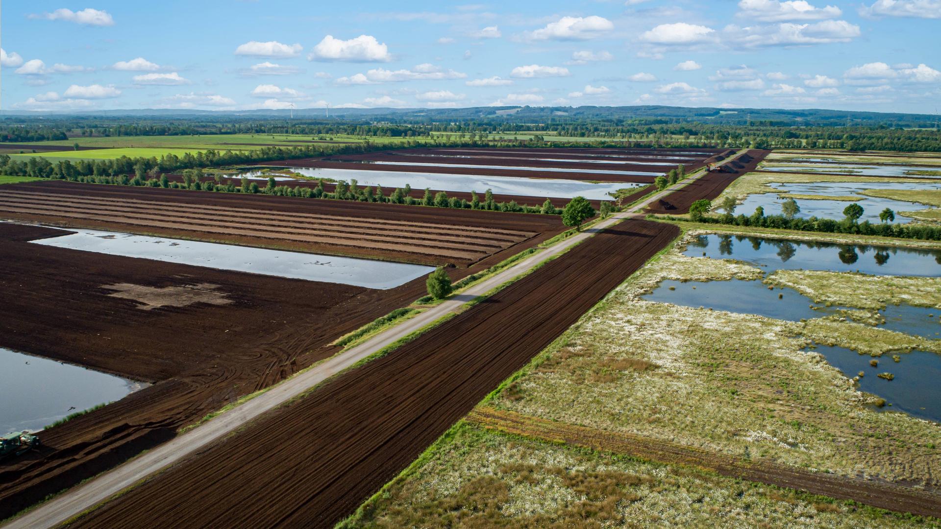 Torfabbau: eine Belastung fürs Klima