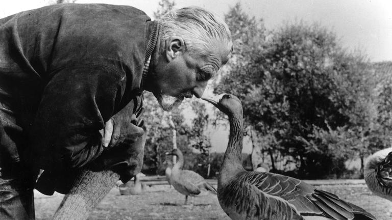 Konrad Lorenz: Die "Vater der Graugänse" mit zwei Gesichtern