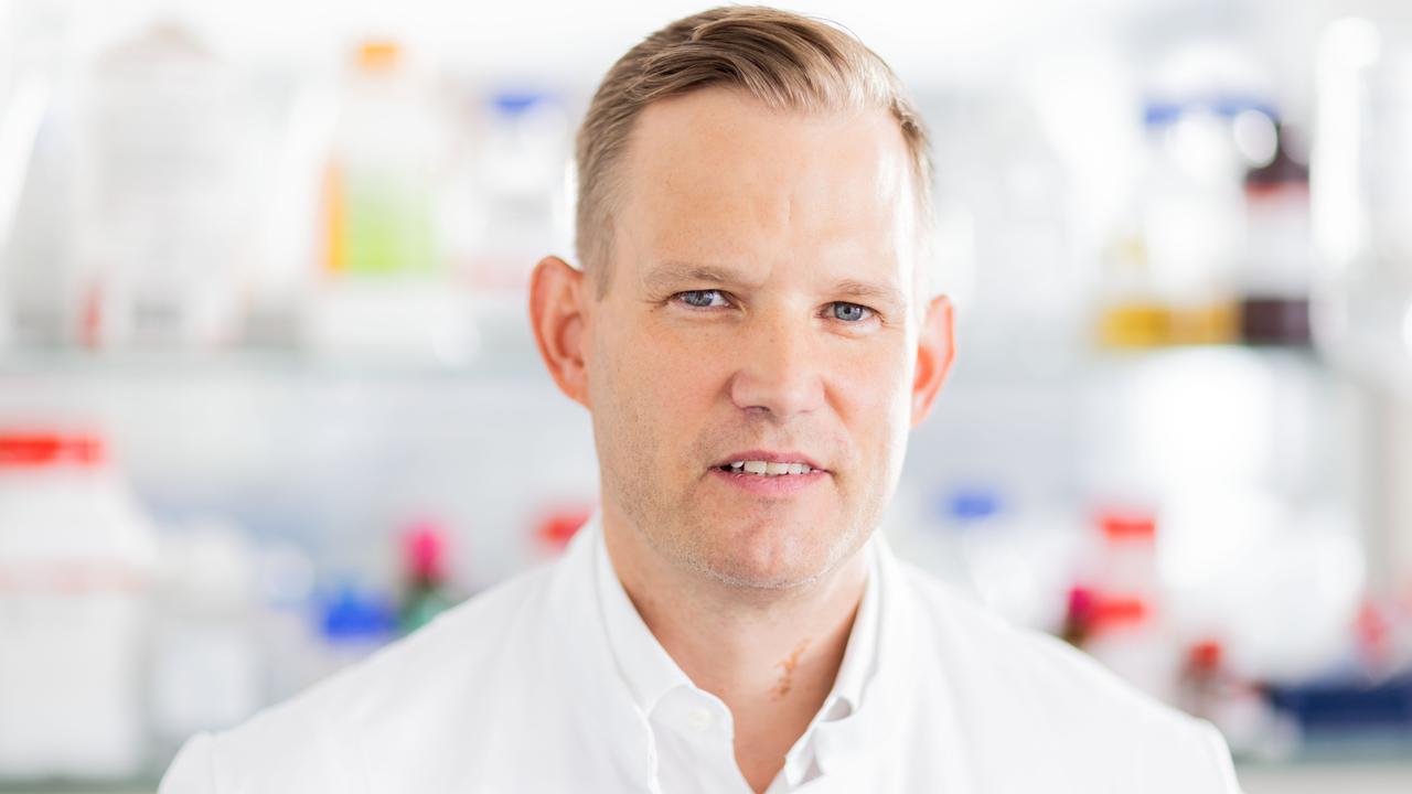 Medienbericht - Virologe Streeck soll neuer Drogenbeauftragter werden