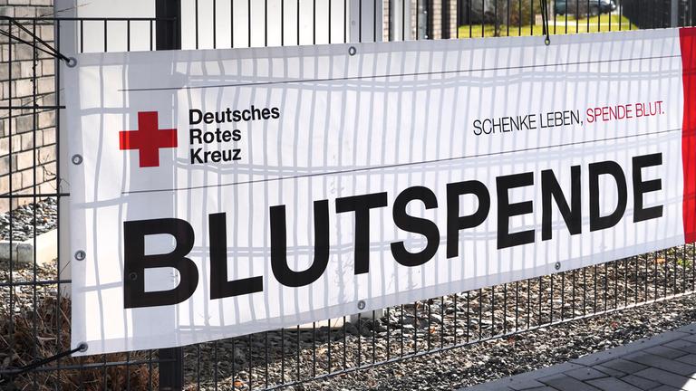 Weltblutspendetag - Rotes Kreuz wegen Rückgang bei Blutspendern in Sorge